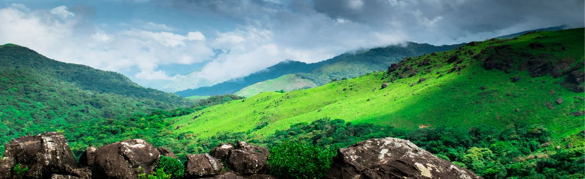 Stargazing in Coorg – Best Spots, Camps & Observatory Experiences