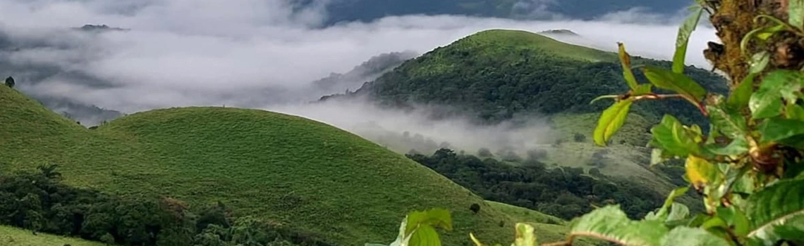 Butterfly Watching in Coorg – Hidden Nature Trails & Rare Species